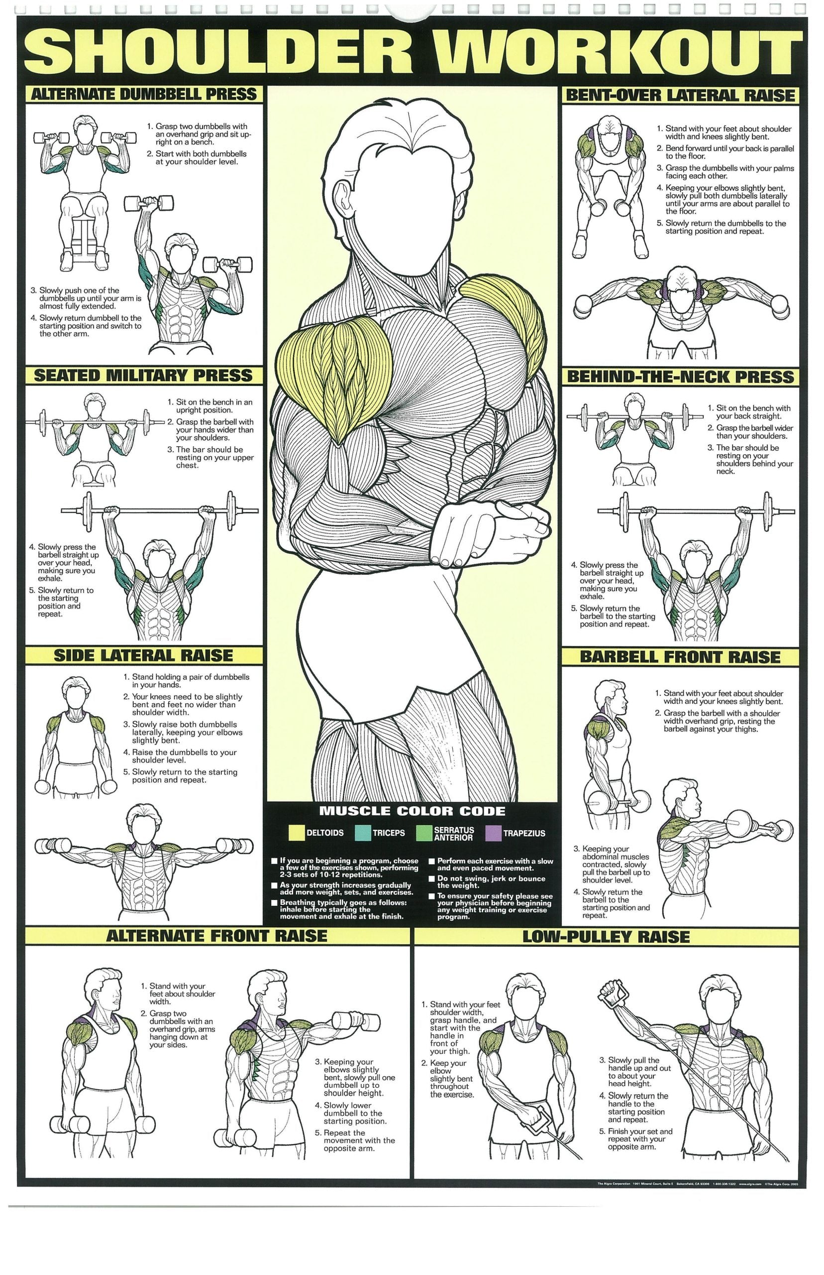 SHOULDER TRAINING POSTER - Southside Fitness